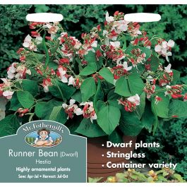 Mr. Fothergill's Runner Bean (Dwarf) Hestia Seeds | Shop for Seeds ...