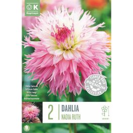 Dahlia Nadia Ruth