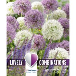 Lovely Combinations Allium Giant Bulbs | Mount Everest & Mars Alliums ...