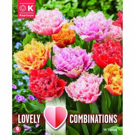 Lovely Combinations Tulip Double Crispa Mix