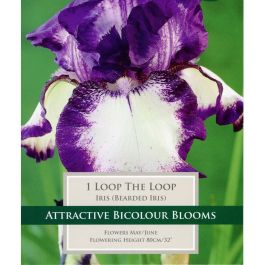 Iris Loop The Loop