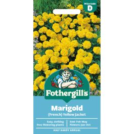 Mr Fothergill's Marigold (French) Yellow Jacket Seeds | Johnstown ...