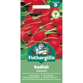 Mr Fothergill's Radish Celesta F1 Seeds | Johnstown Garden Centre