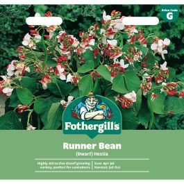 Mr Fothergill's Runner Bean (Dwarf) Hestia Seeds | Johnstown Garden Centre
