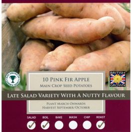 Pink Fir Apple Seed Potatoes (Taster Pack of 10)